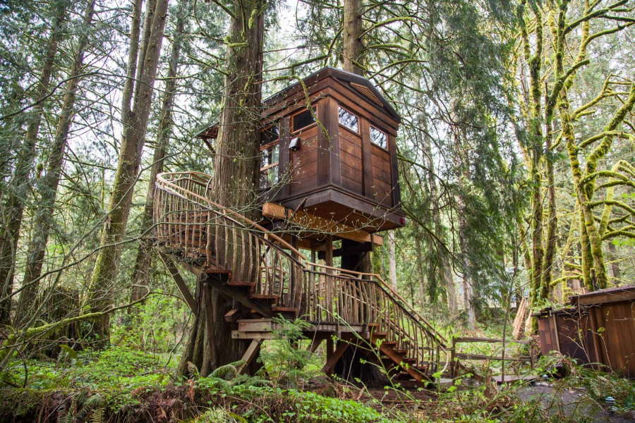 Treehouse Point Voucher Sales, Issaquah - VoucherCart - Bonbibi Getaway!