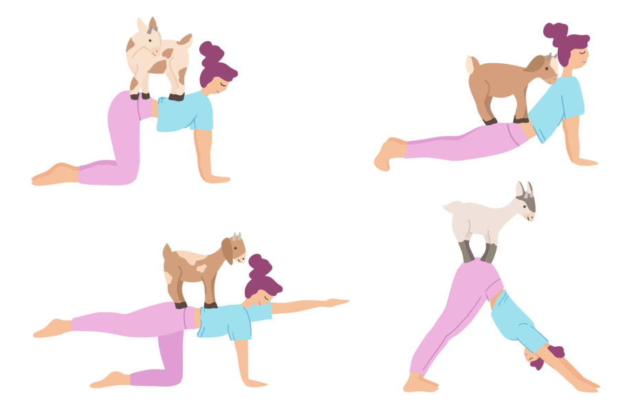 Godalming Goat Yoga Voucher Sales, Godalming - VoucherCart - Goat Yoga ...